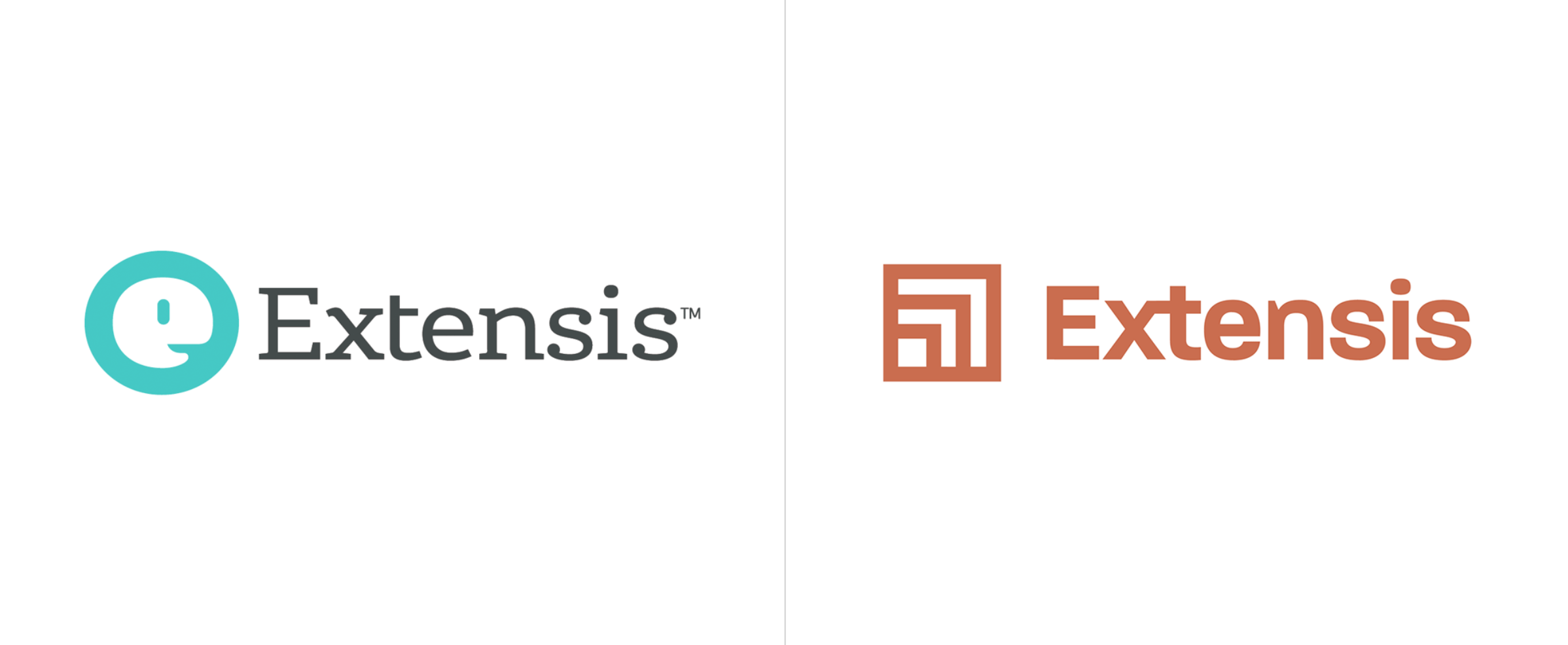 Extensis是解决方案的领先开发商-力英品牌设计顾问公司